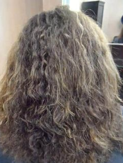 Complete Curl System - Bounce Hair Growth