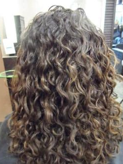 The Curl Restoration Conditioner - Bounce Hair Growth
